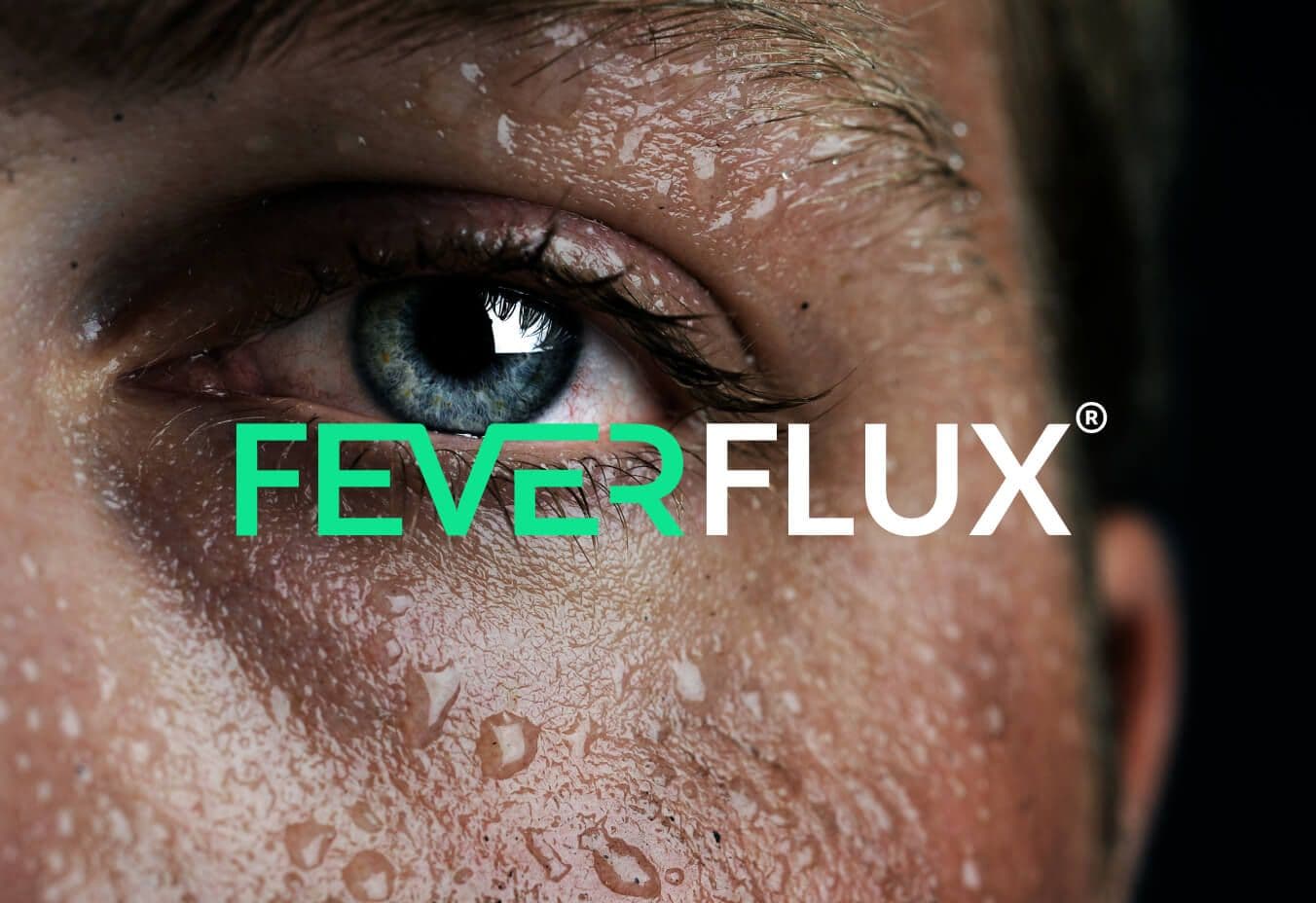 Heat Flux & Temperature Sensing Solutions - greenteg